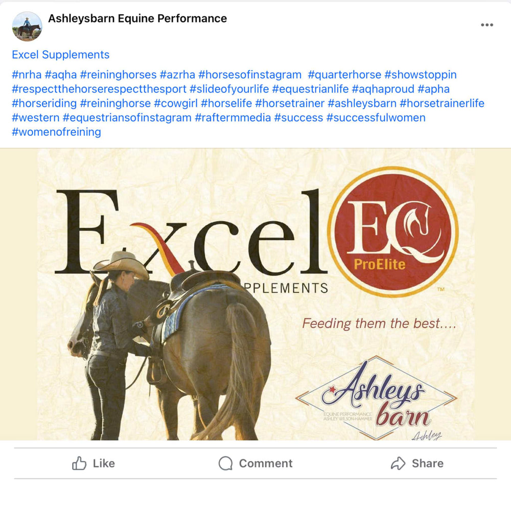 Join Excel Supplements as an Ambassador – Apply Today! | Excel Supplements