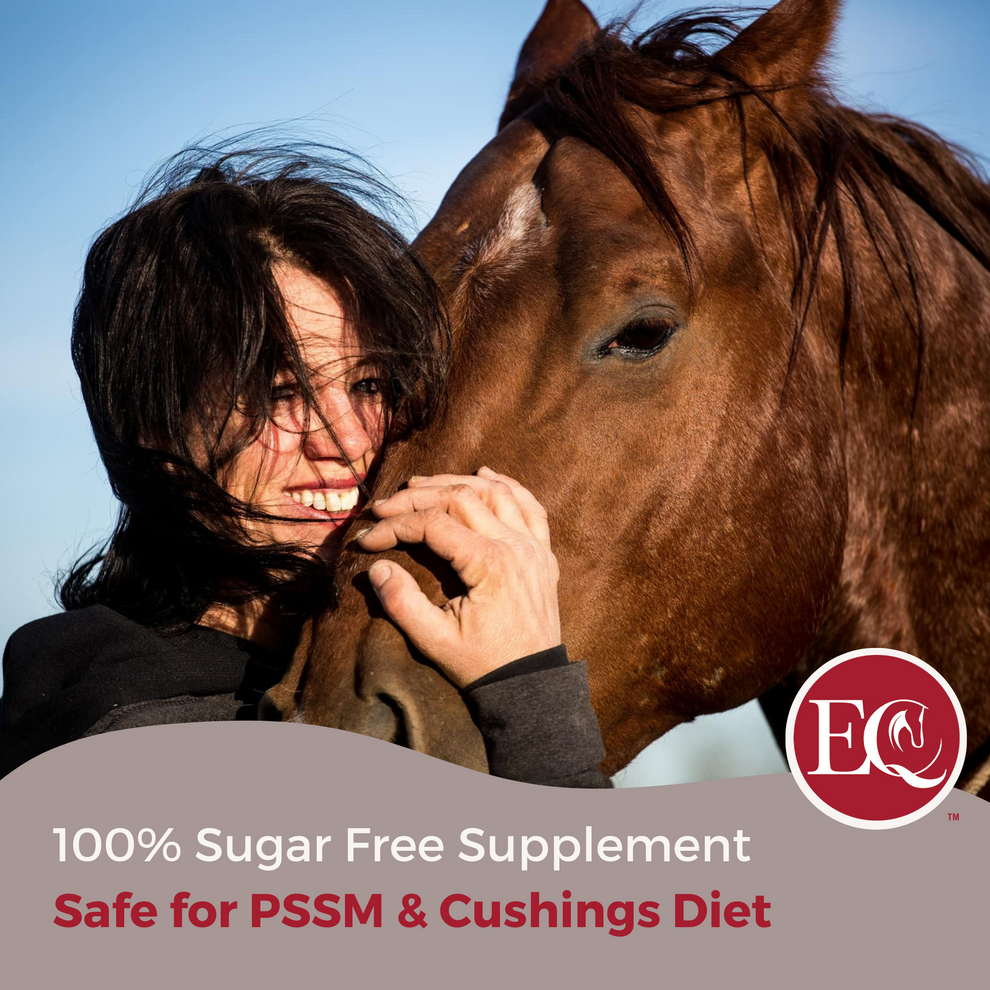 ExcelEQ Equine Wellness Supplement | Excel Supplements