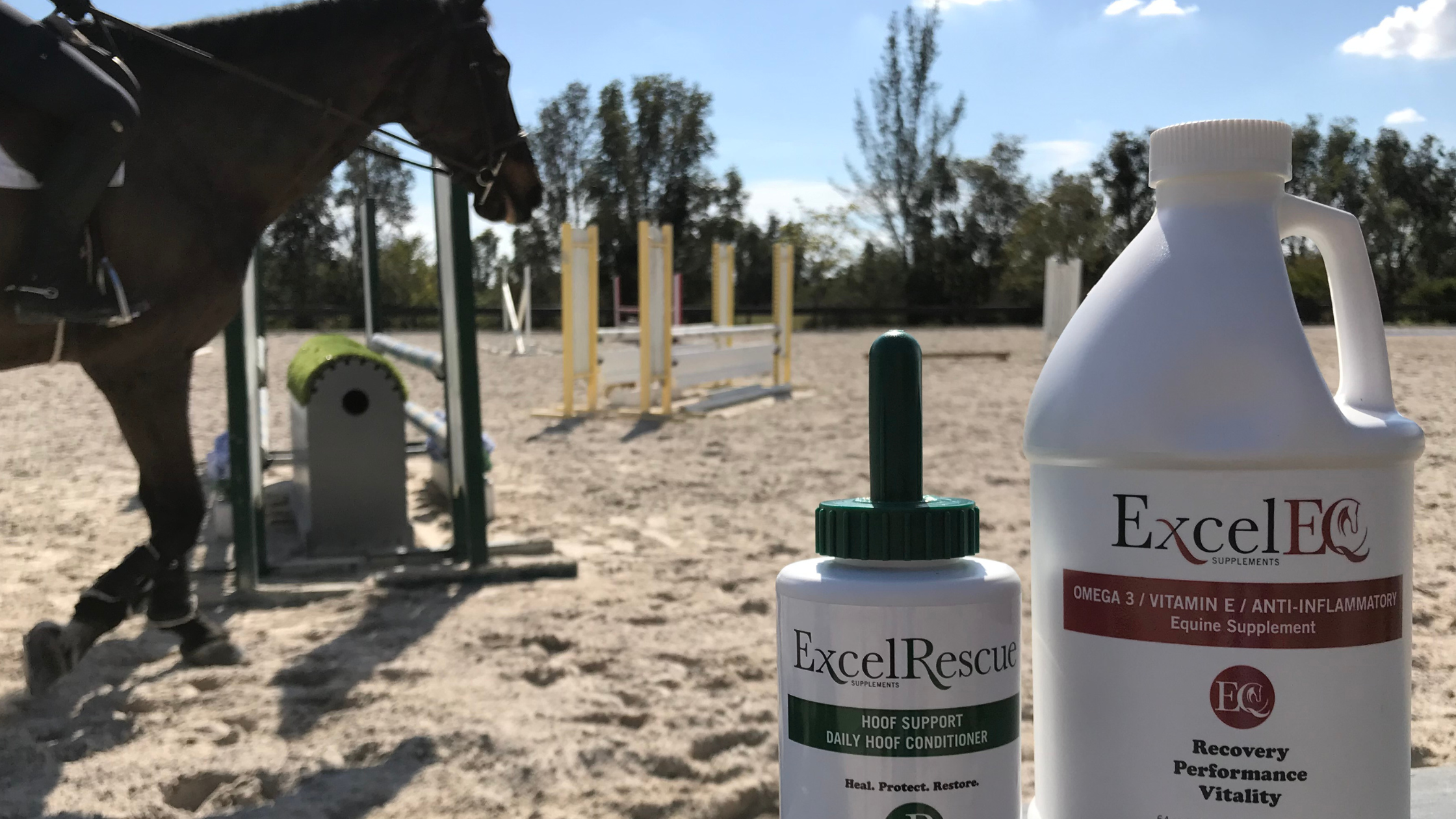 Equine Nutrition for Training Programs: Saving with Camelina Oil ...