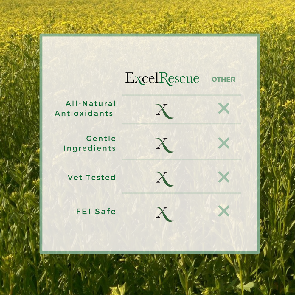 Camelina Healing Salve | Excel RX | Camelina Oil for Healing | Excel ...