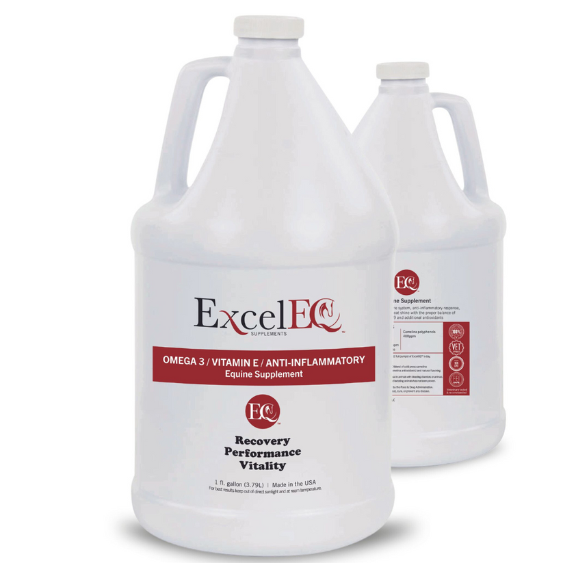 Equine and Canine Products for Optimal Health Today | Excel Supplements