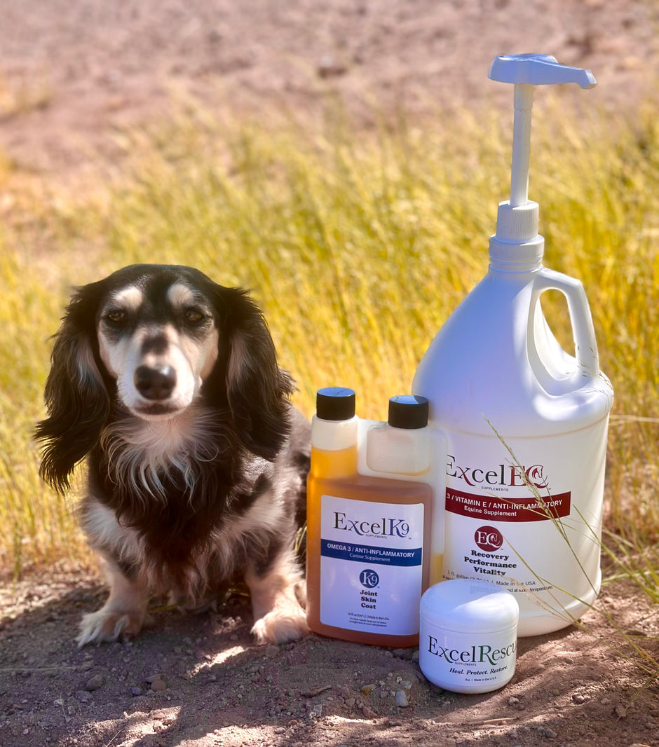 Excel Supplements - Premium Camelina Oil for Horses, Dogs & Healing