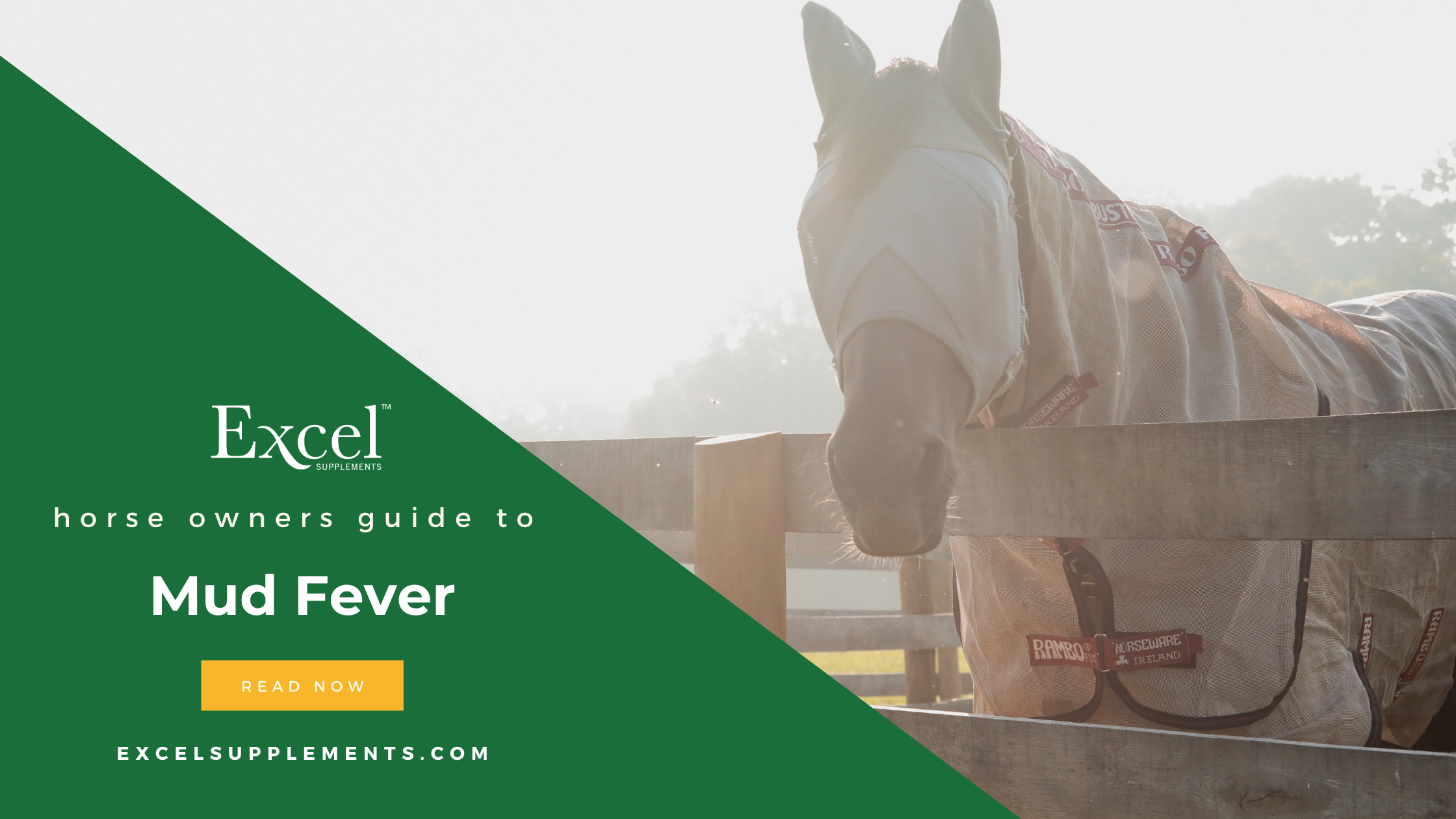 Mud Fever in Horses: Treat, Heal, and Protect | Excel Supplements