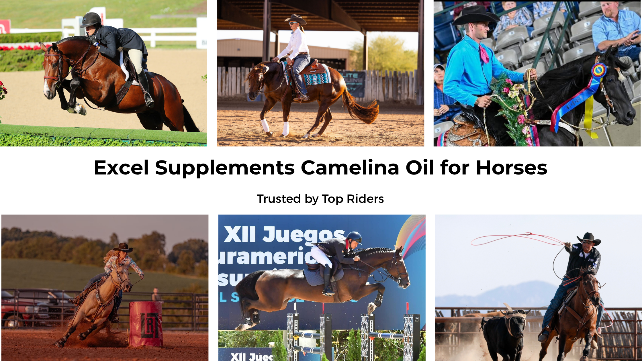 Excel Supplements Camelina Oil for Horses: Trusted by Top Riders ...
